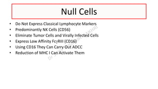 Cells and organs of the immune system | PPT
