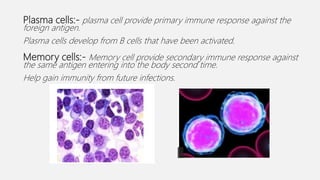 Cells and organs of the immune system.pptx