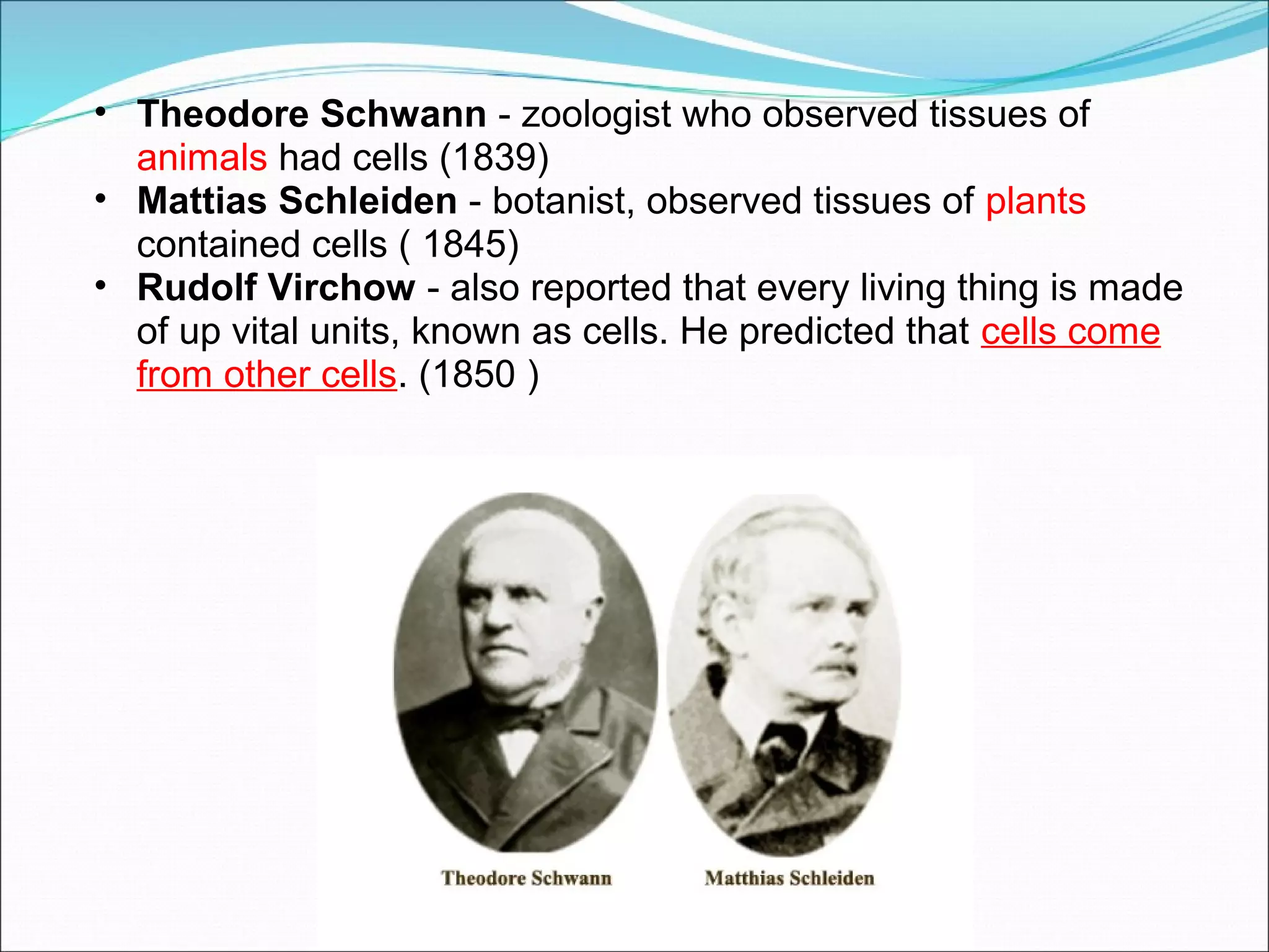 Cells and the cell theory | PPT