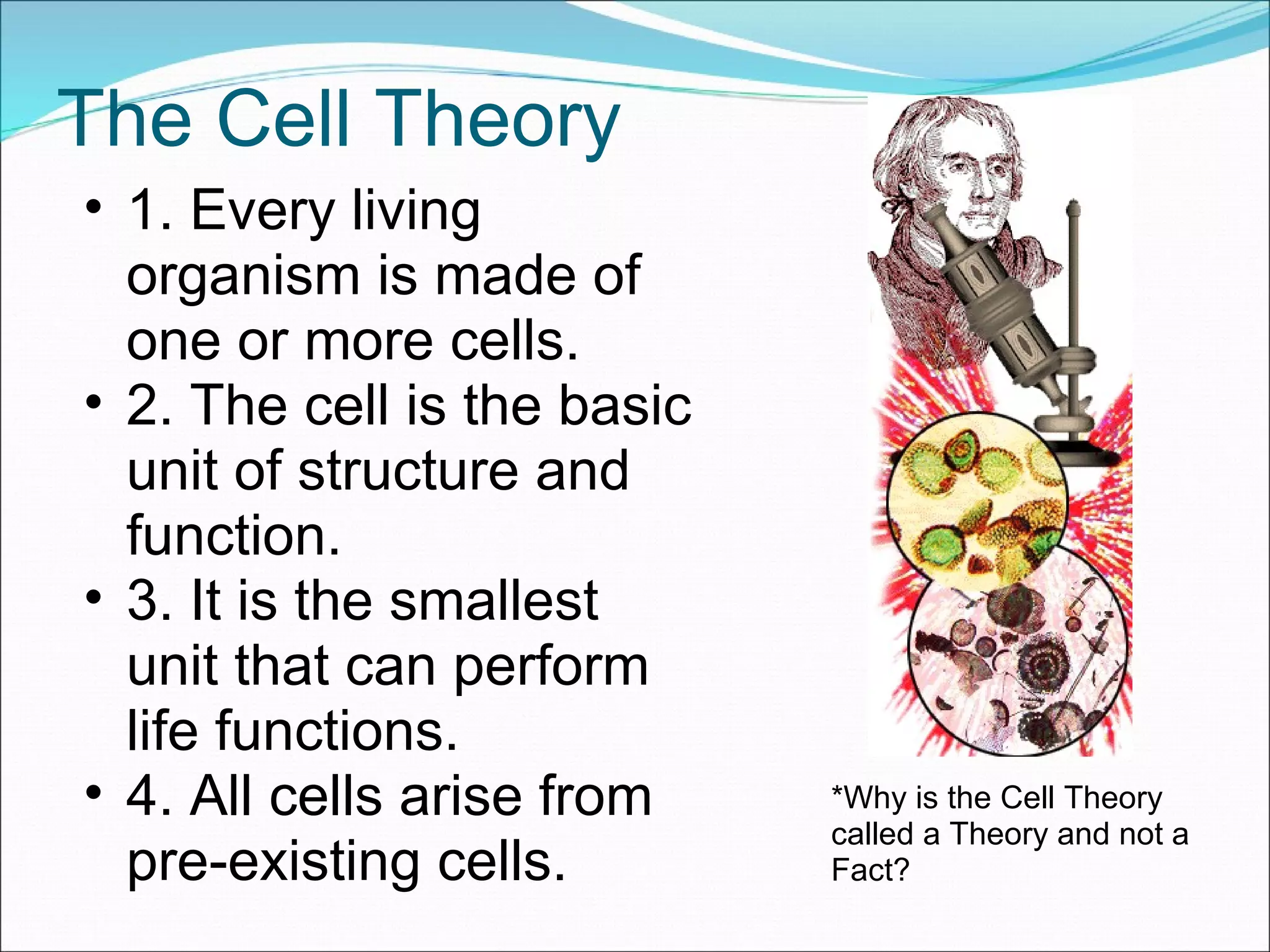 Cells and the cell theory | PPT