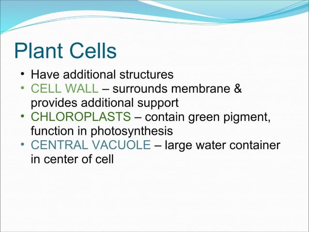 Cells and the cell theory | PPT | Biological Sciences | Science
