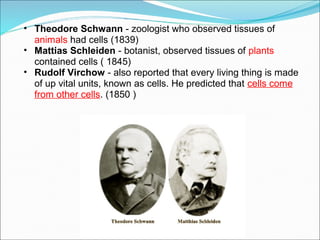 Cells and the cell theory | PPT | Biological Sciences | Science