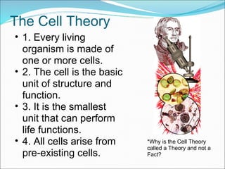 Cells and the cell theory | PPT