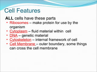 Cells and the cell theory | PPT