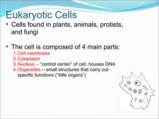 Cells and the cell theory | PPT