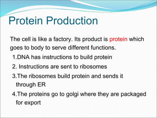 Cells and the Cell Theory.pptx