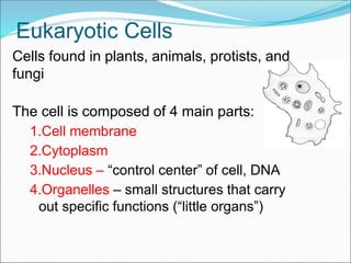 Cells and the Cell Theory.pptx University of benghazi | PPT