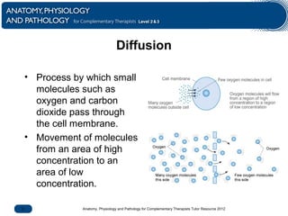 Cells and tissues | PPT