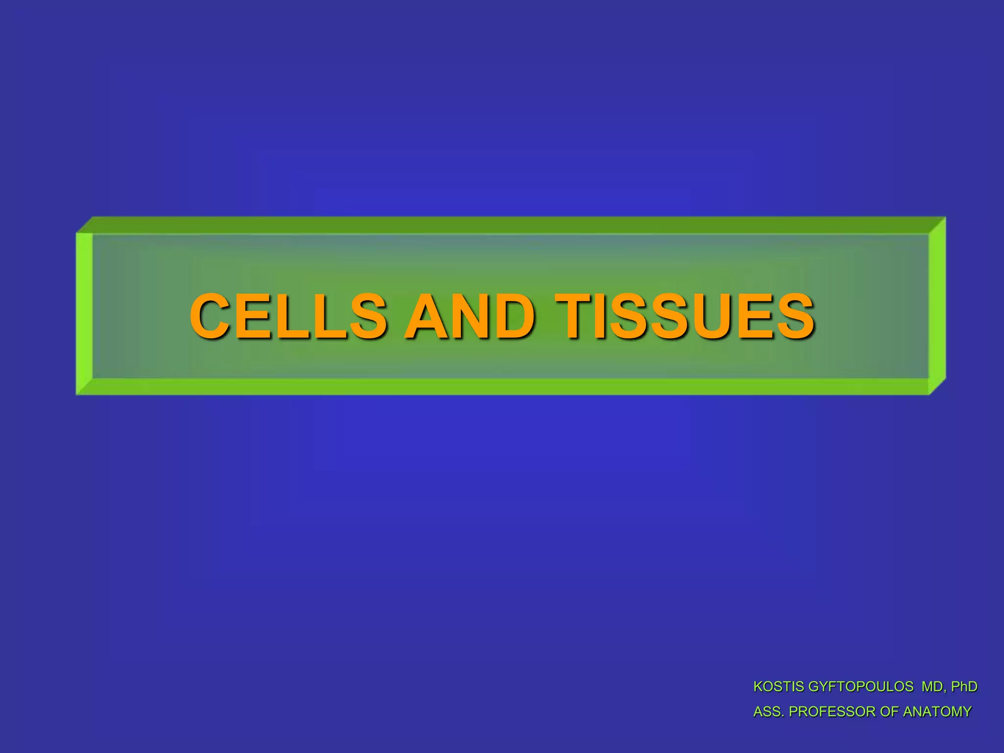 CELLS AND TISSUES.ppt