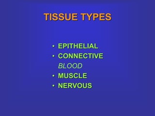 CELLS AND TISSUES.ppt