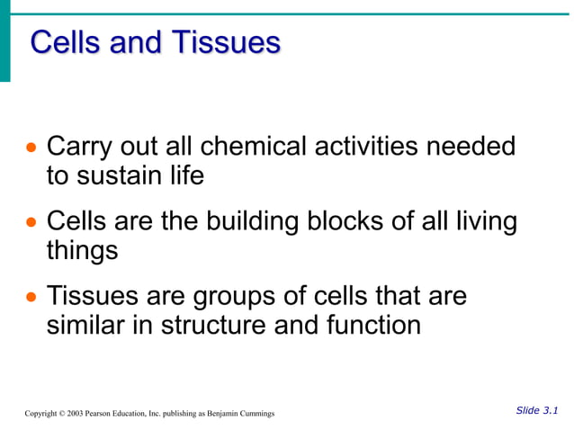 Cells_and_Tissues.ppt | Free Download