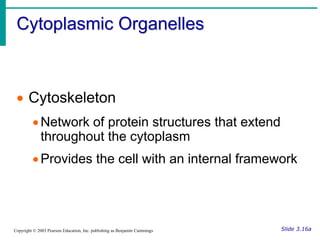 Cells_and_Tissues.ppt