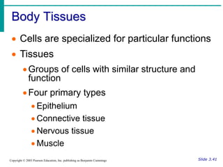 Cells_and_Tissues.ppt