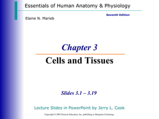 Structure and Function Cells and Tissues: Structure and Function Cells ...