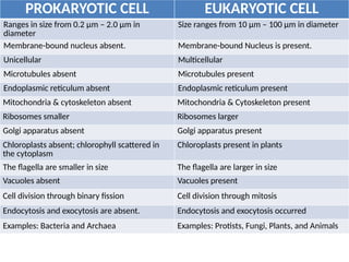 Comprehensive Comparison of Plant, Animal, Prokaryotic, and Eukaryotic ...