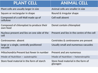 Comprehensive Comparison of Plant, Animal, Prokaryotic, and Eukaryotic ...