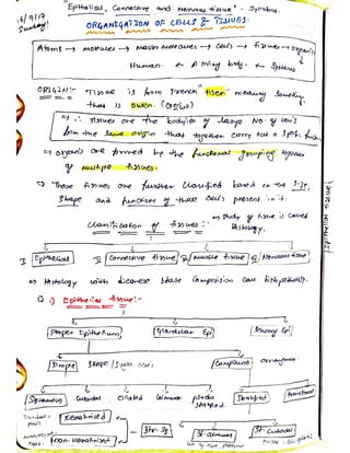 Cells and tissues written notes | PDF