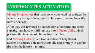 Cells and tissues of the immune system | PPTX