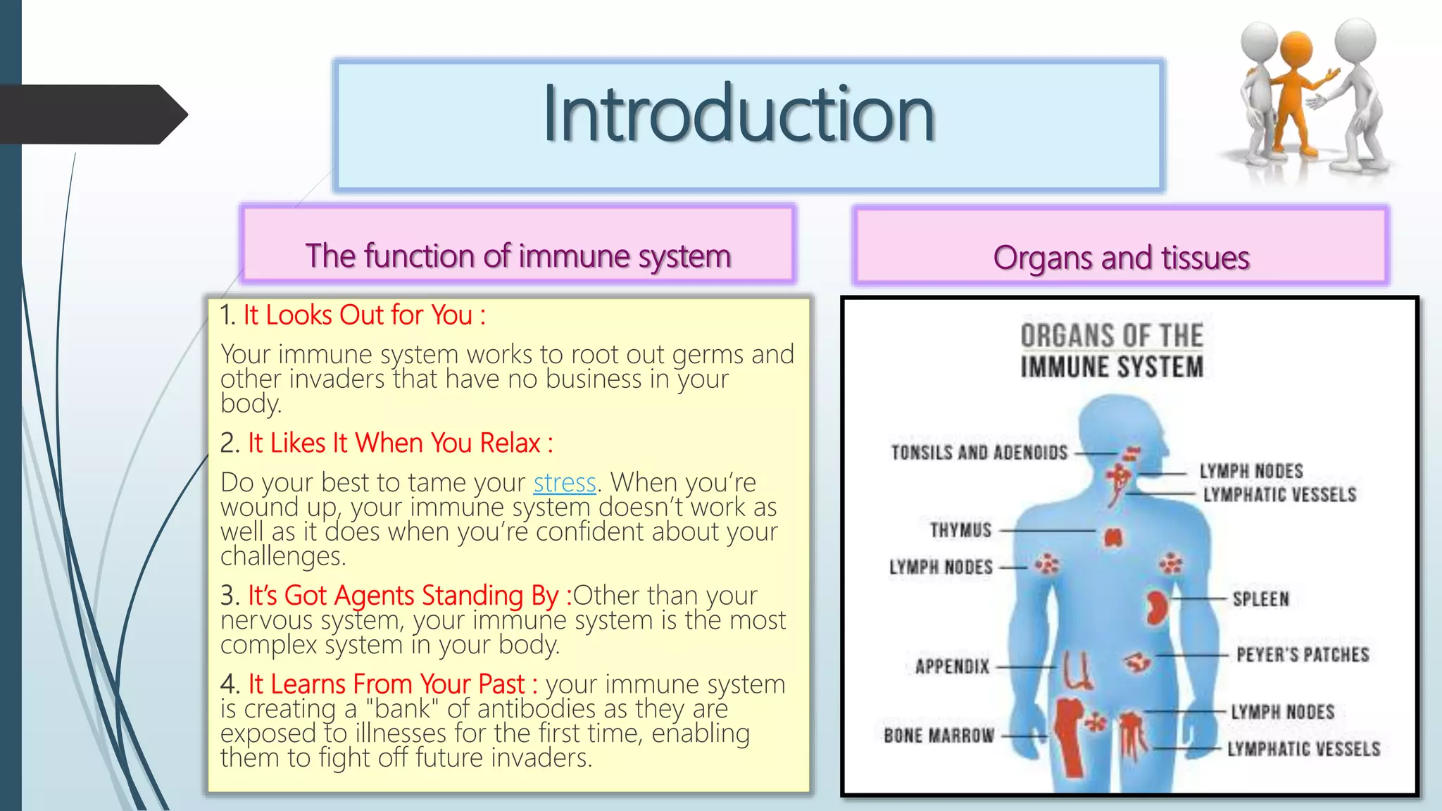 Cells and tissues of the immune system | PPTX