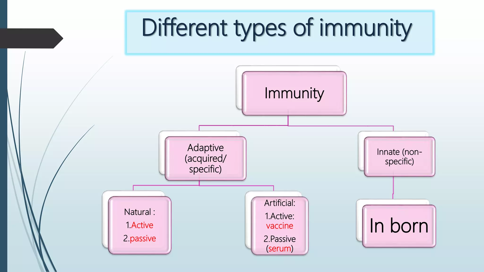 Cells and tissues of the immune system | PPTX