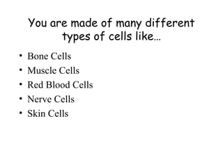 Cells are cool ppt. | PPT