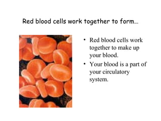 Cells are cool ppt. | PPT