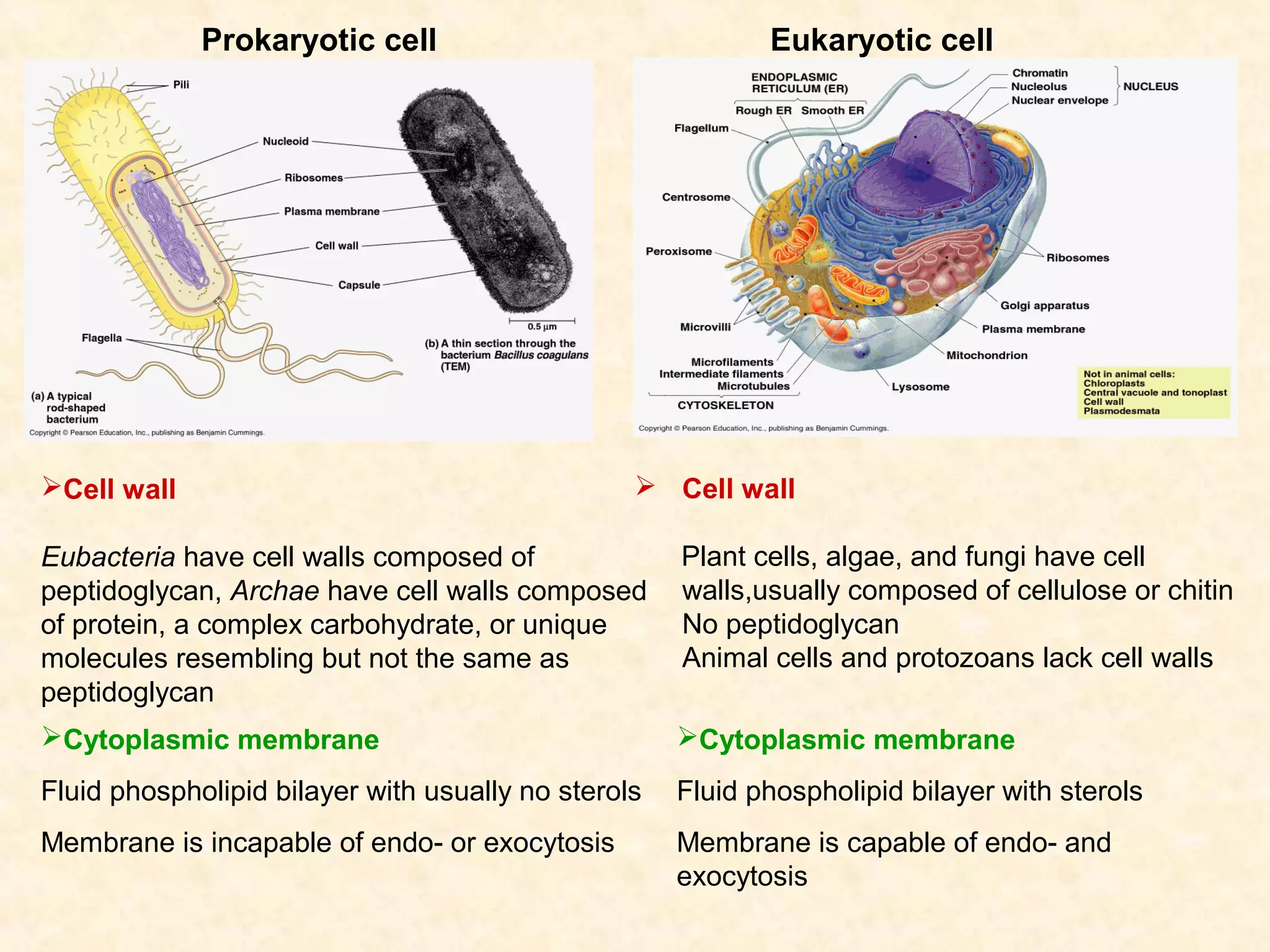 Cells as a unit of life | PPT