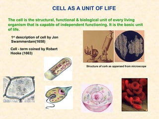 Cells as a unit of life | PPT
