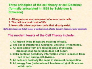 Cells as a unit of life | PPT