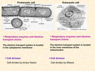 Cells as a unit of life | PPT