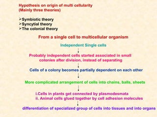 Cells as a unit of life | PPT