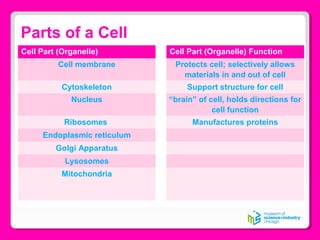 Cells as stores | PPT
