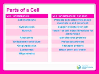 Cells as stores | PPT