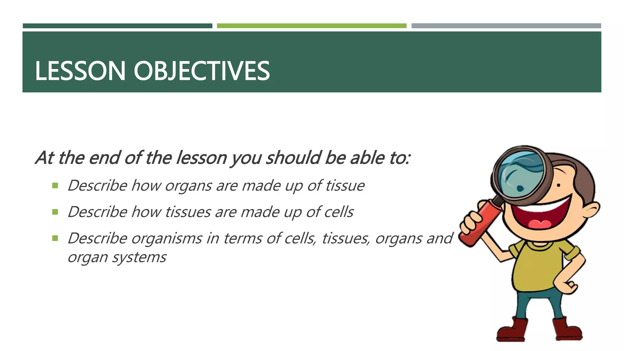 Cells as the building blocks for life.pptx