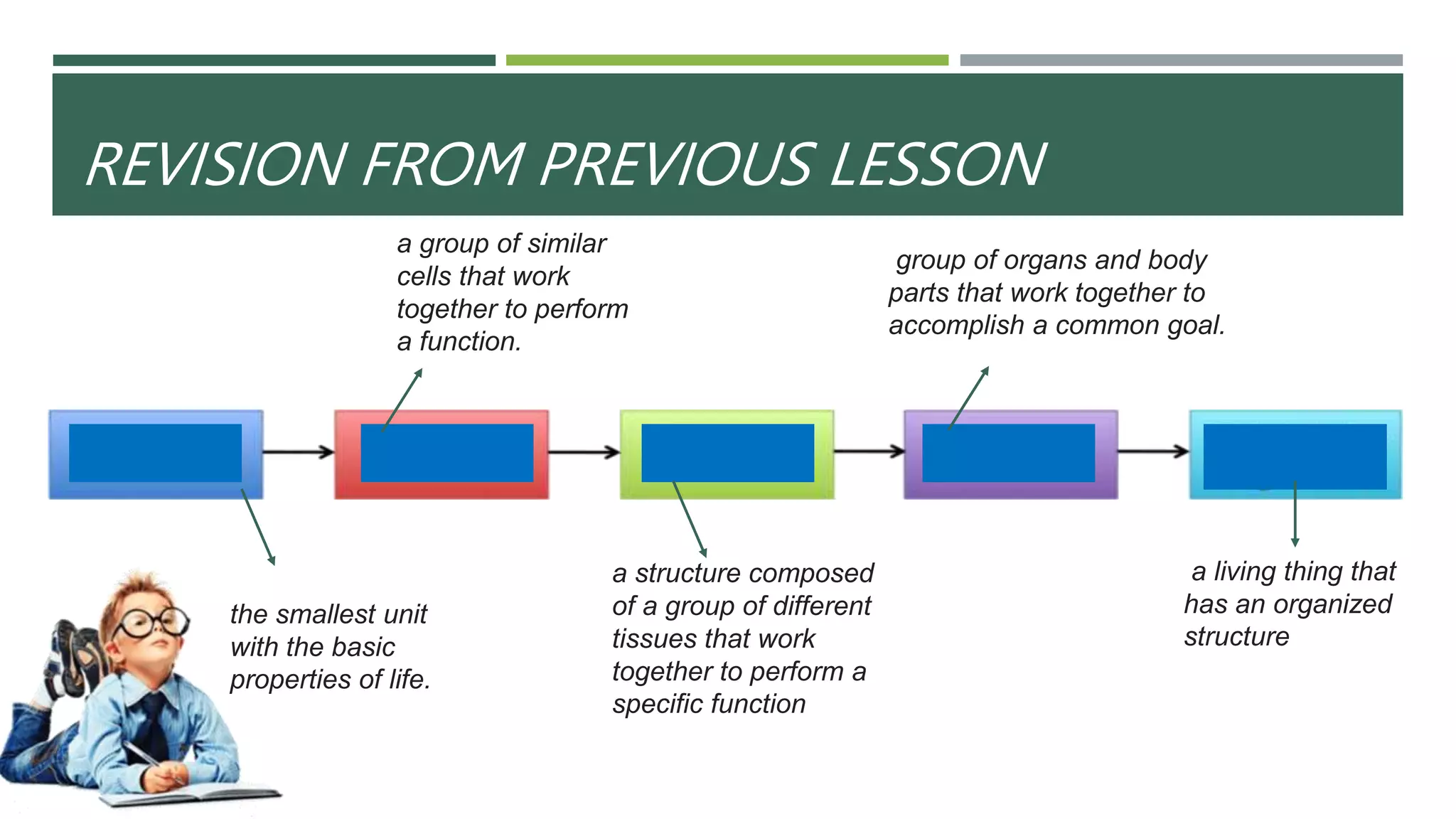 Cells as the building blocks for life.pptx