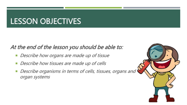 Cells as the building blocks for life.pptx