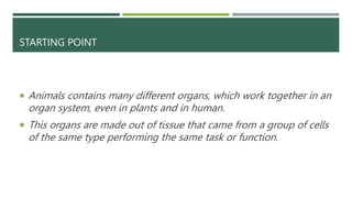Cells as the building blocks for life.pptx