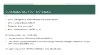 Cells as the building blocks for life.pptx