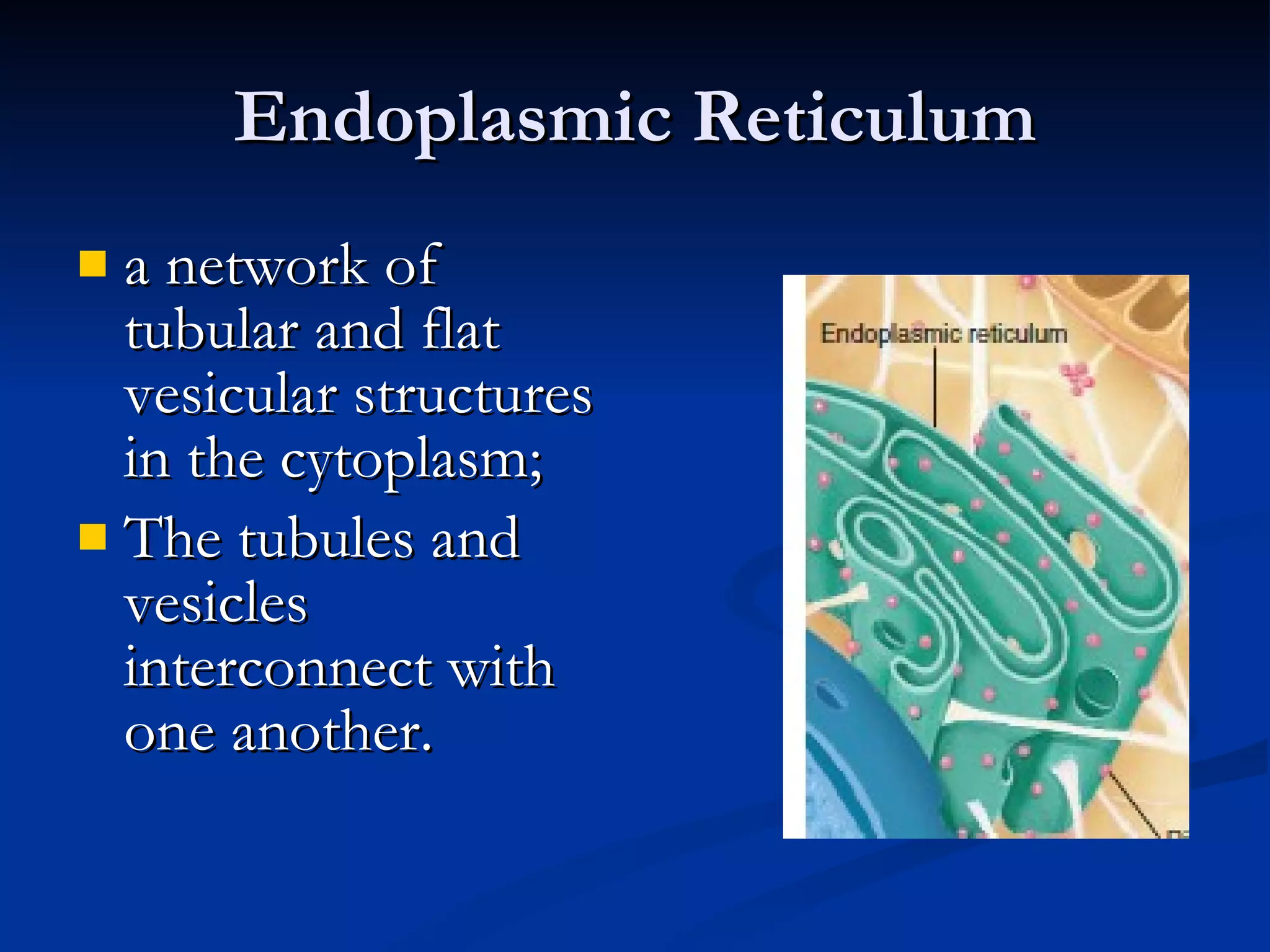 Cells as the living units of the body | PPT