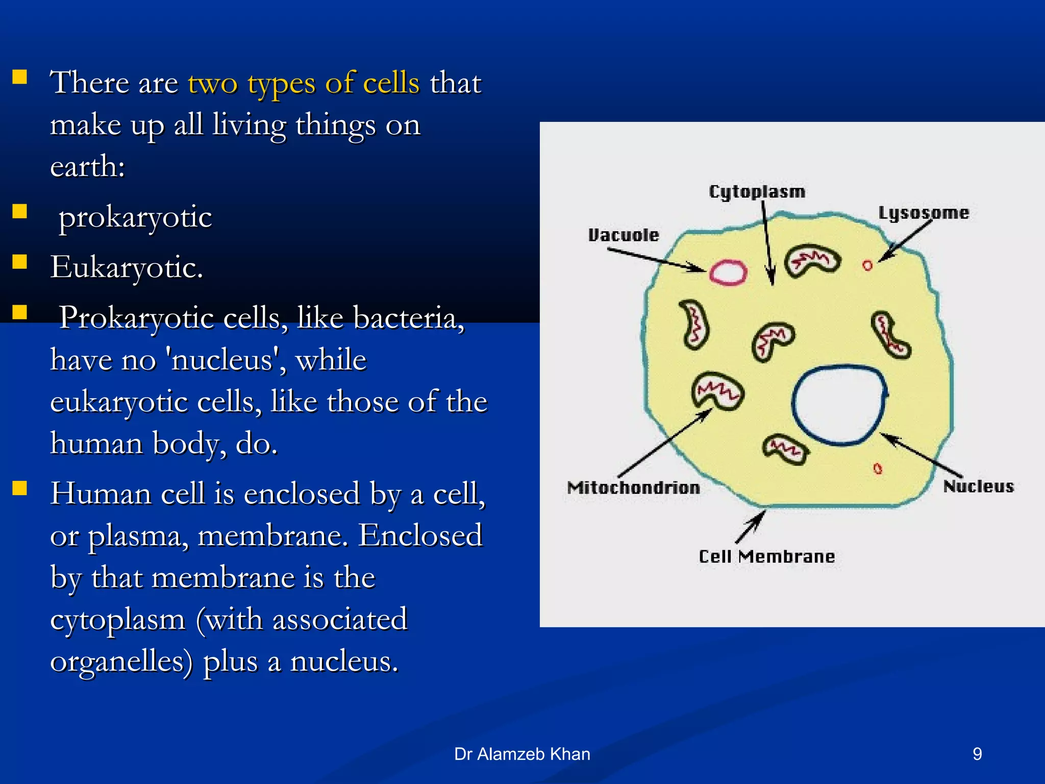 Cells as the living units of the body | PPT