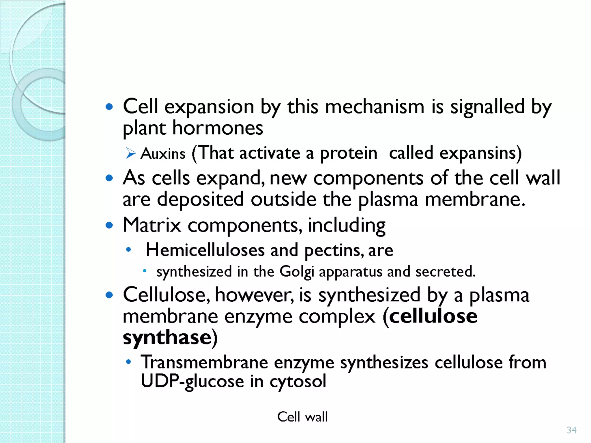 Cells Cell Biology Leacture 2 | PPT