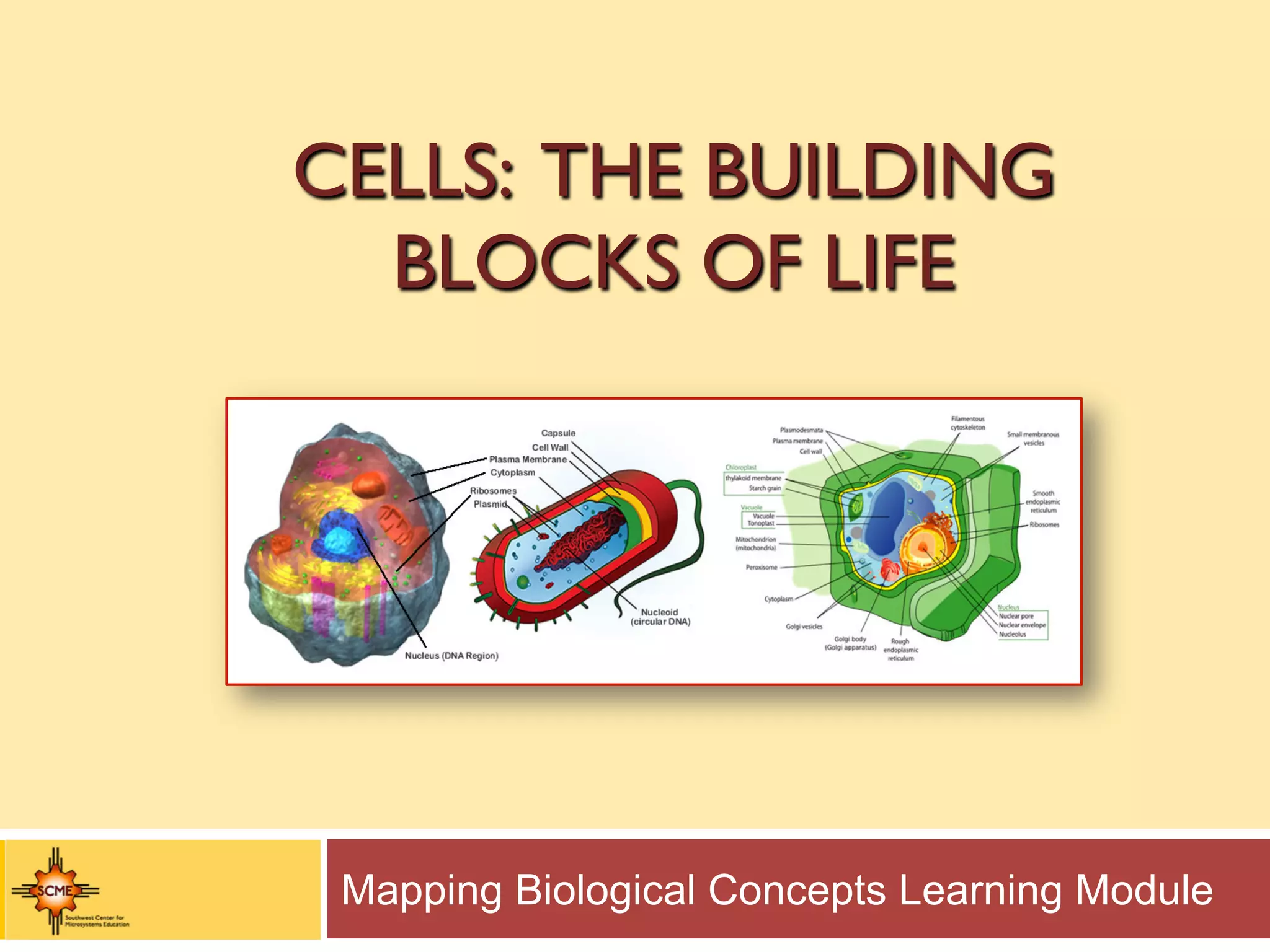 Cells_Building_Blocks_Presentation.pdf