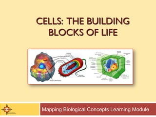 Cells_Building_Blocks_Presentation.pdf