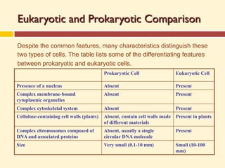 Cells_Building_Blocks_Presentation.pdf