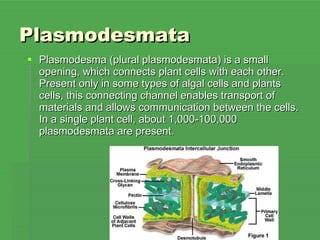 Cell project | PPT | Biological Sciences | Science