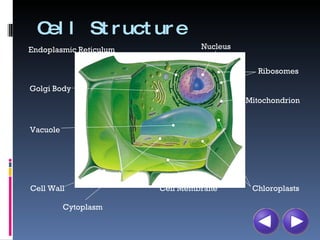 Cells Cell Parts | PPT