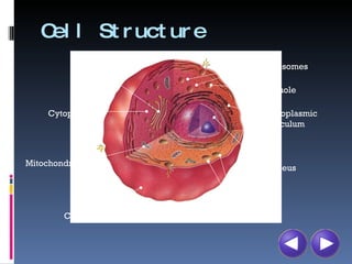 Cells Cell Parts | PPT