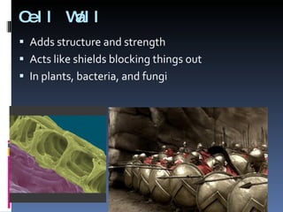 Cells Cell Parts | PPT