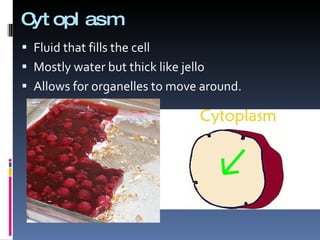 Cells Cell Parts | PPT