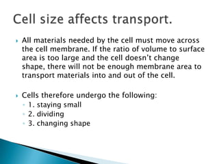 Cells chapter 2 review | PPTX | Biological Sciences | Science